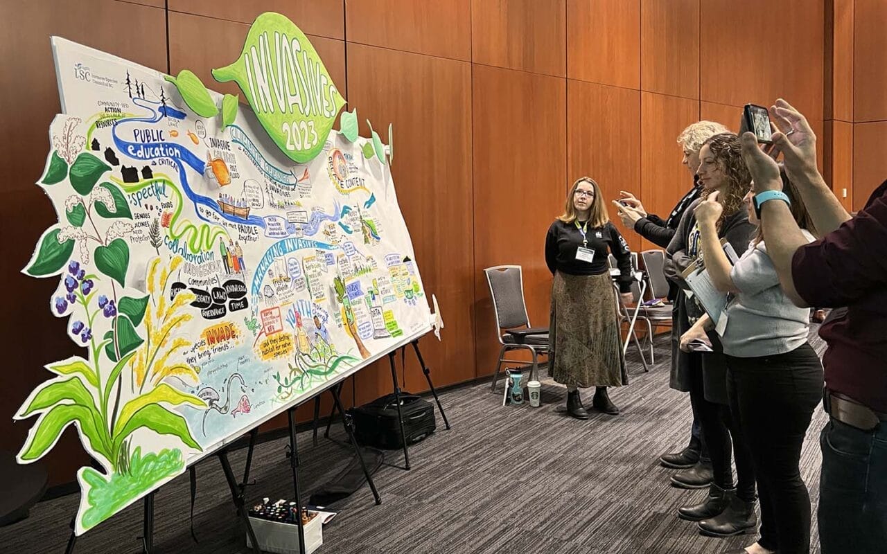 Engagement Walls: connecting ideas and people - Fuselight Creative